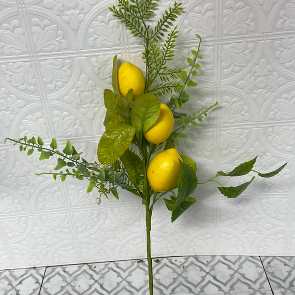 Lemon pick – Grant Michael's